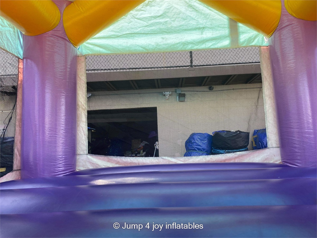 Dazzling Sparkle Bounce House - Hire in Rhode Island and Massachusetts ...